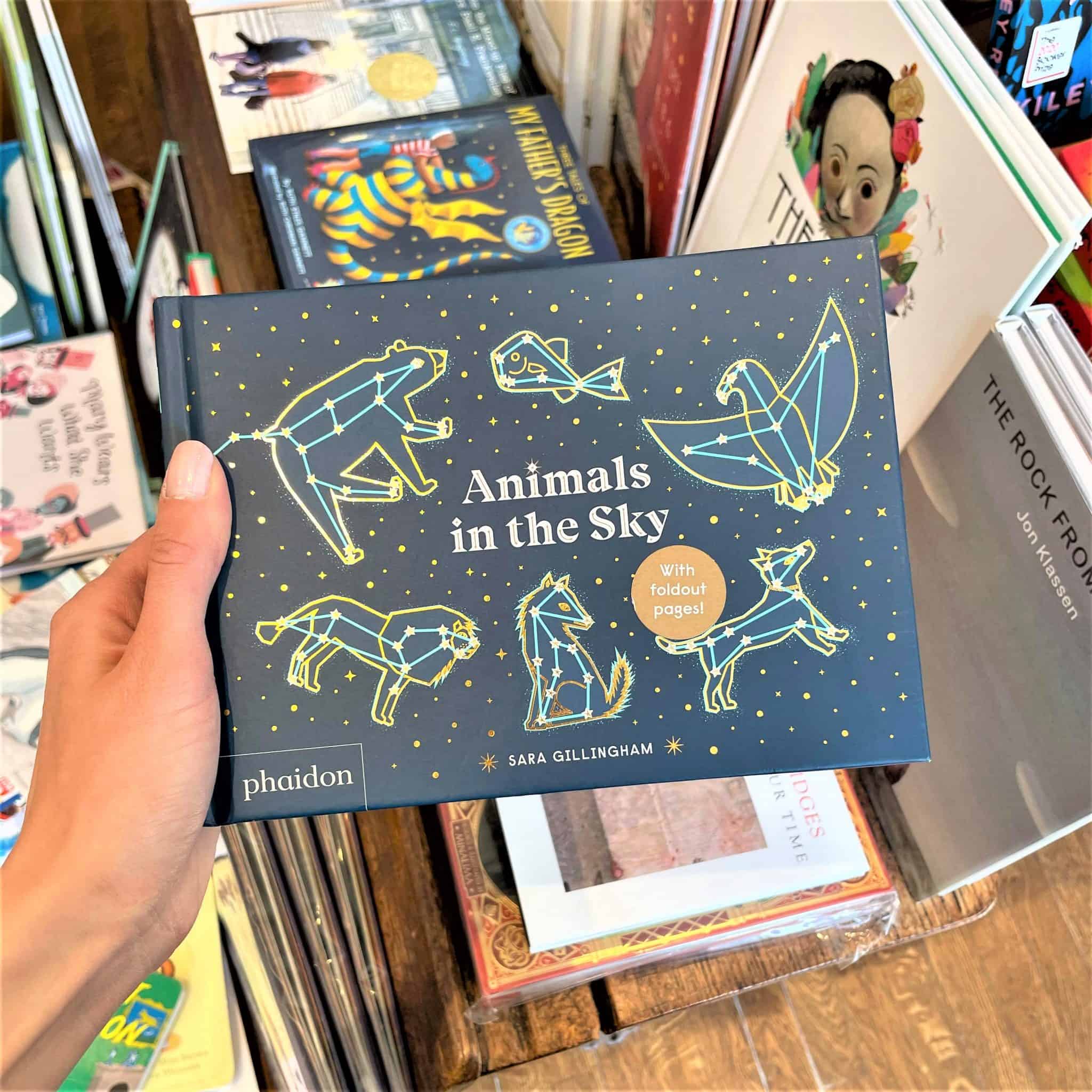 Outer Space Adventure Preschool Lesson Plan! ⋆ The Hollydog Blog