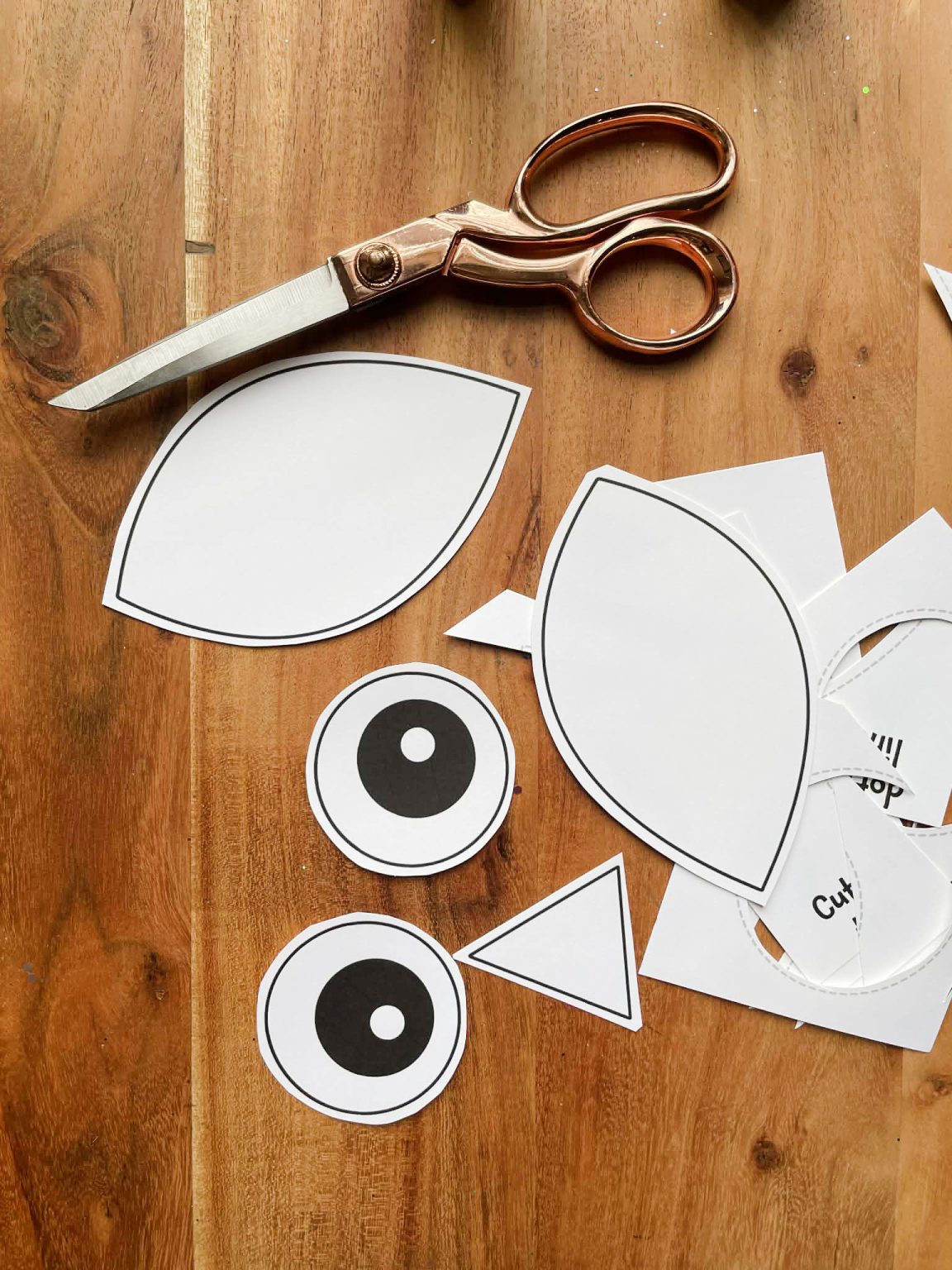 Easy Owl Craft for Preschoolers (Free Printable Cutouts) ⋆ The Hollydog ...