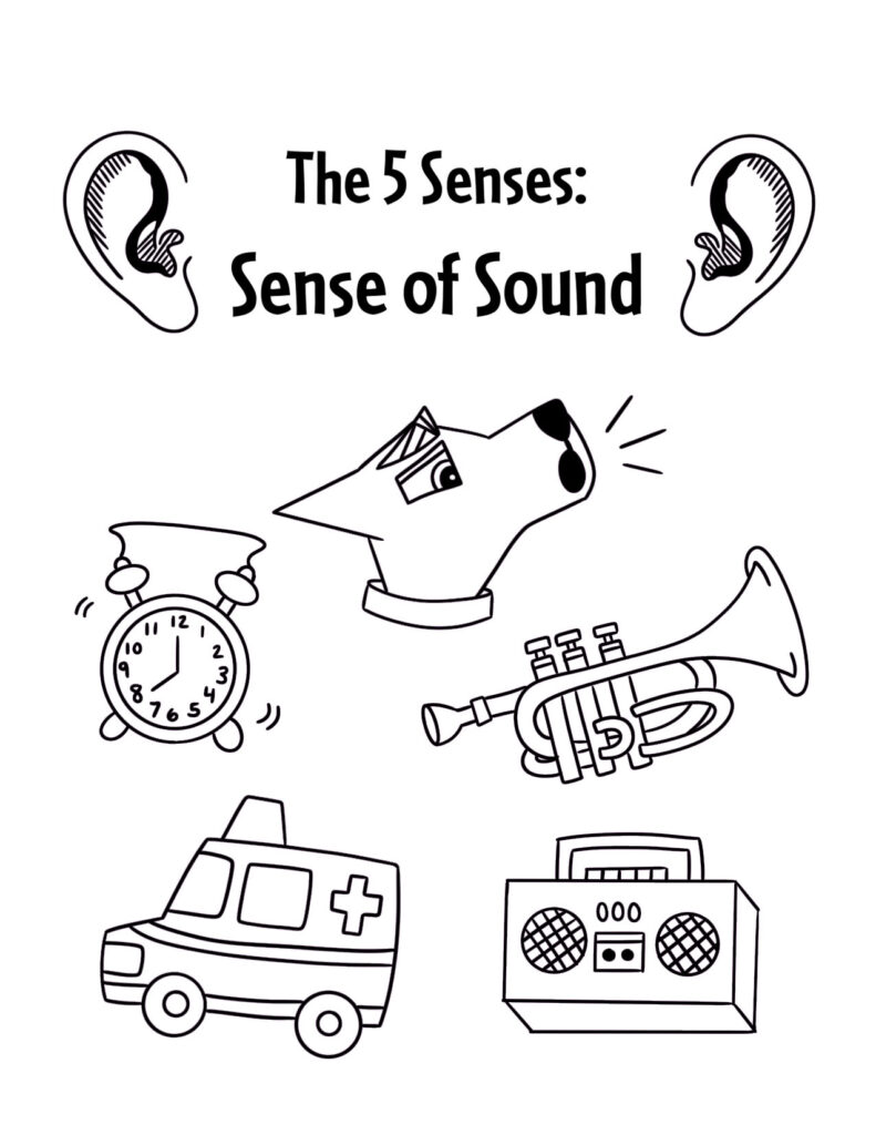 5 Senses Coloring Page For Toddlers