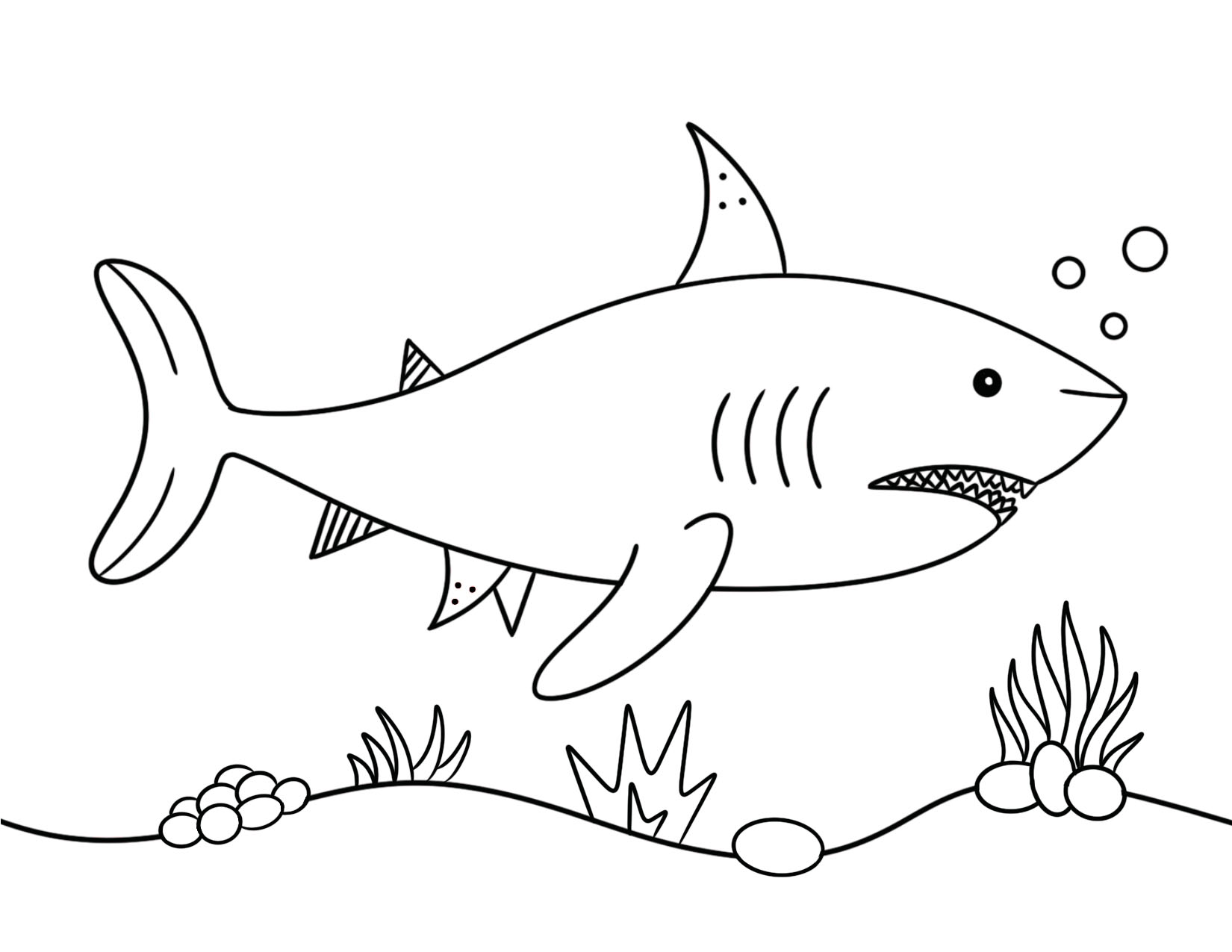 FREE Shark Coloring Pages for Kids! ⋆ The Hollydog Blog