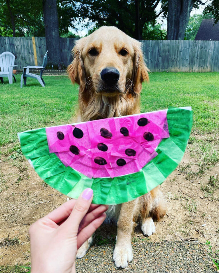 Free Watermelon Worksheets for Preschool! ⋆ The Hollydog Blog