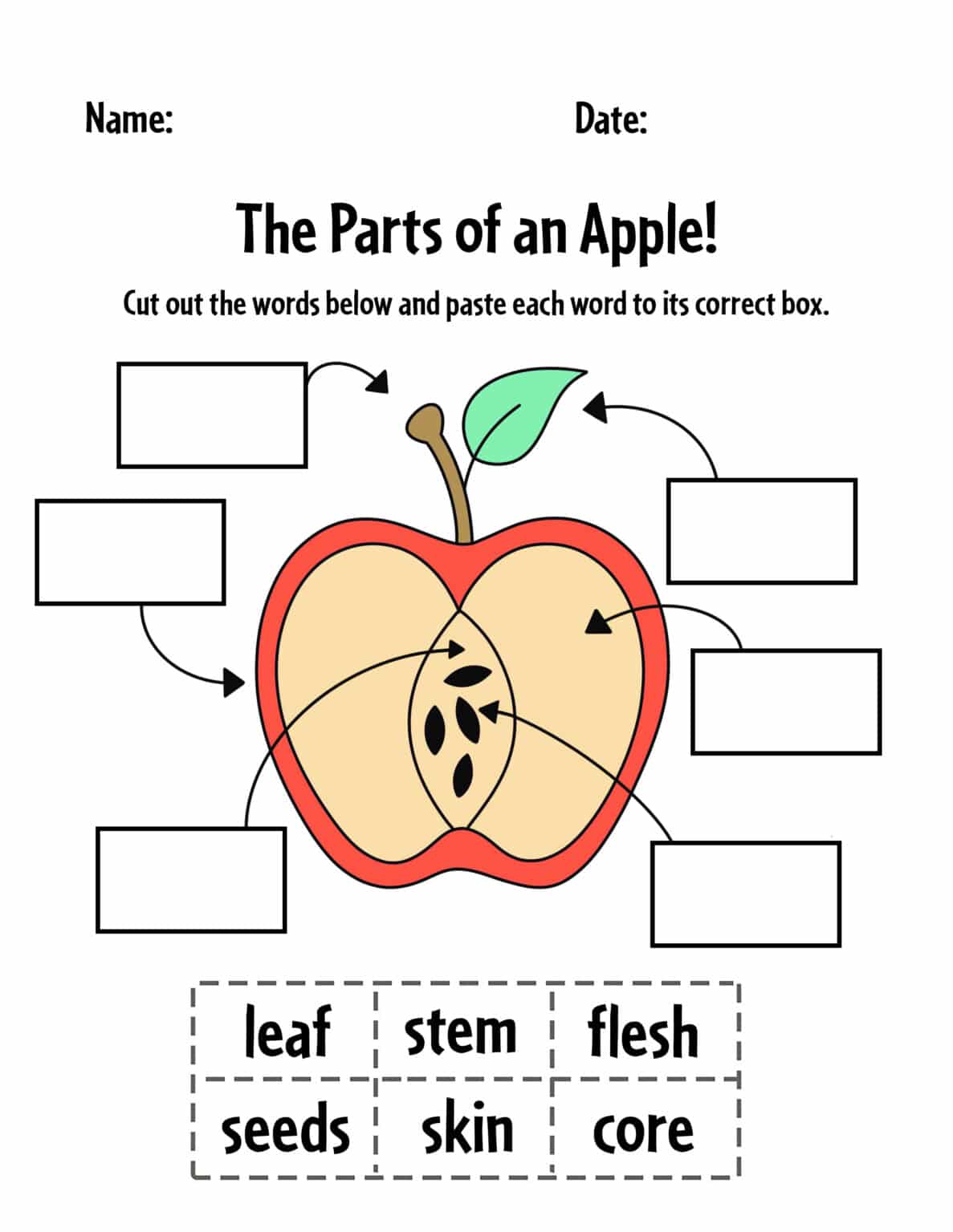 Fun Apple Painting Process Art for Kids! ⋆ The Hollydog Blog