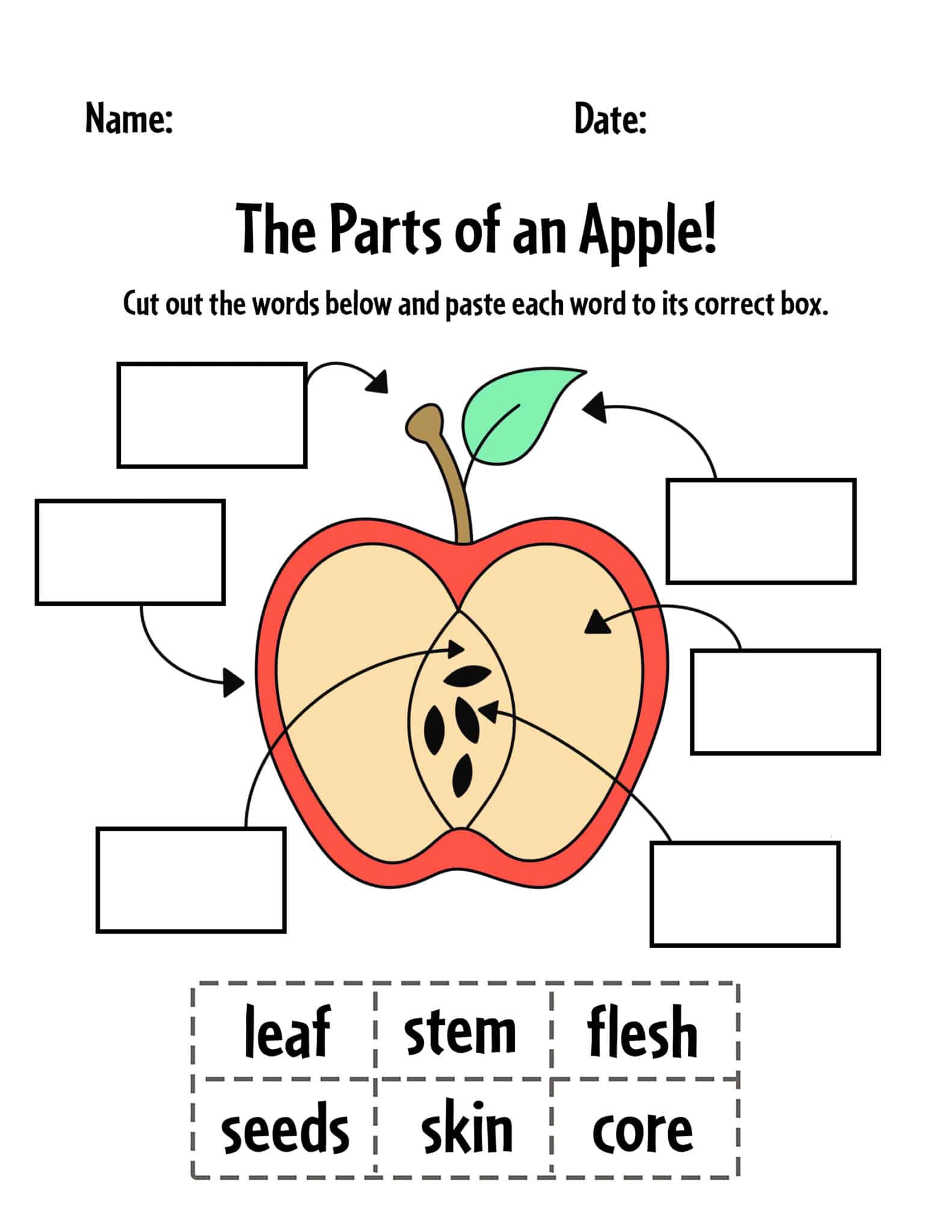 Fun Apple Painting Process Art for Kids! ⋆ The Hollydog Blog
