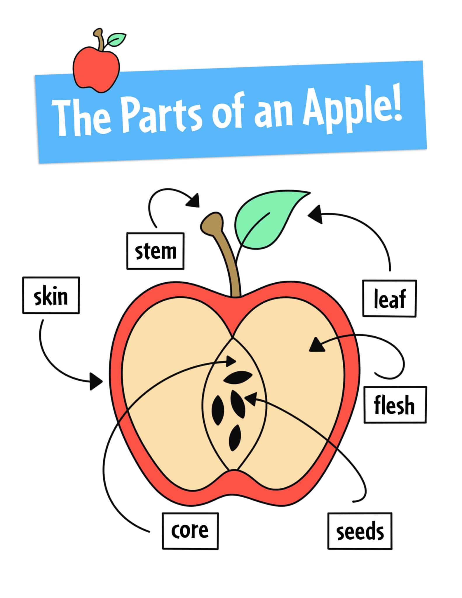 Fun Apple Painting Process Art for Kids! ⋆ The Hollydog Blog