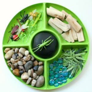 Free and Fun Bug Activities for Preschool! ⋆ The Hollydog Blog