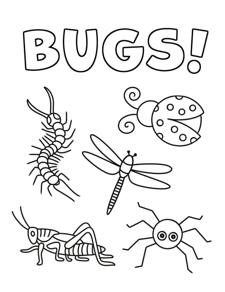 Free and Fun Bug Activities for Preschool (Easy Printable Insect ...
