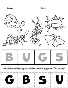 Free and Fun Bug Activities for Preschool! ⋆ The Hollydog Blog