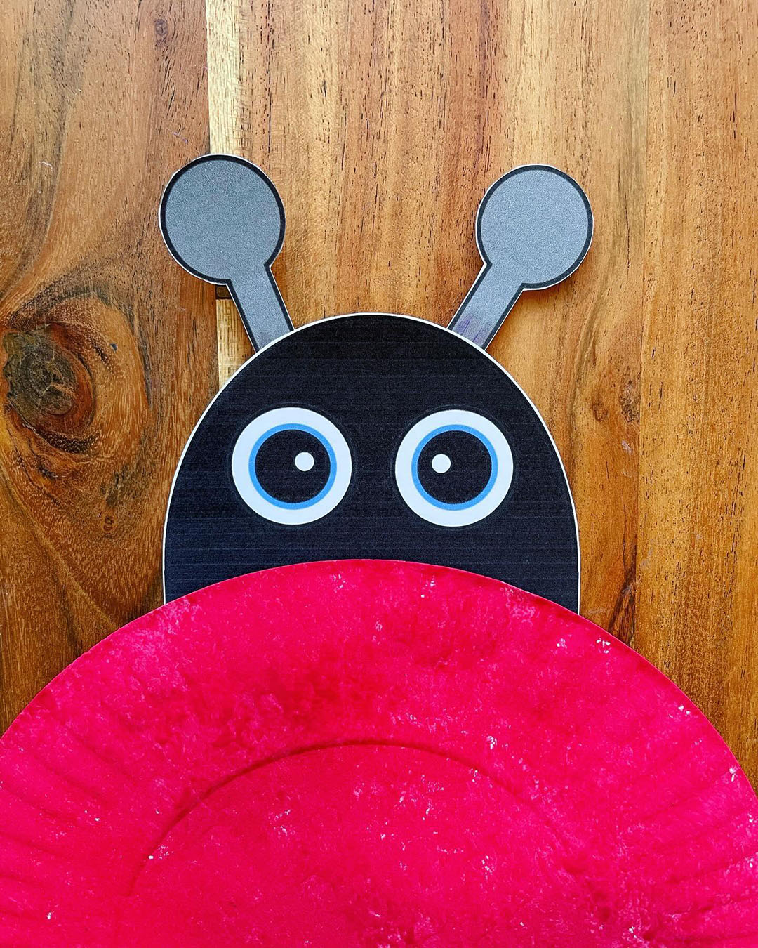 Fun Ladybug Craft for Preschool! ⋆ The Hollydog Blog