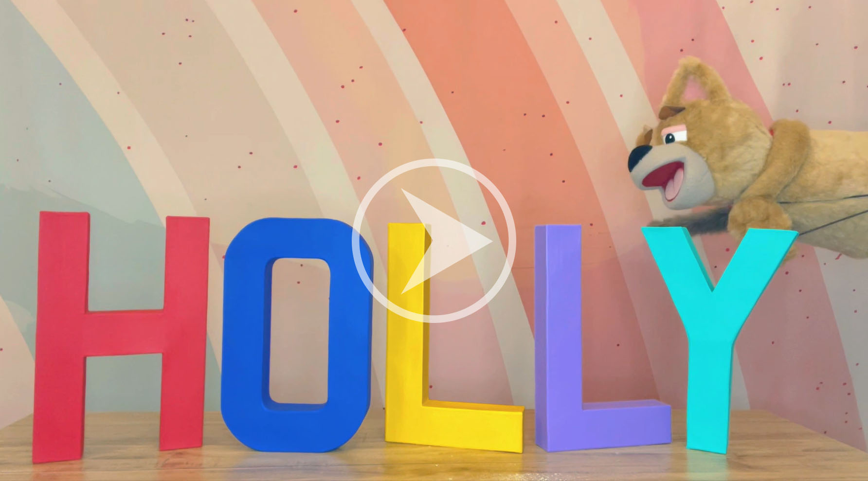About ⋆ The Hollydog Blog
