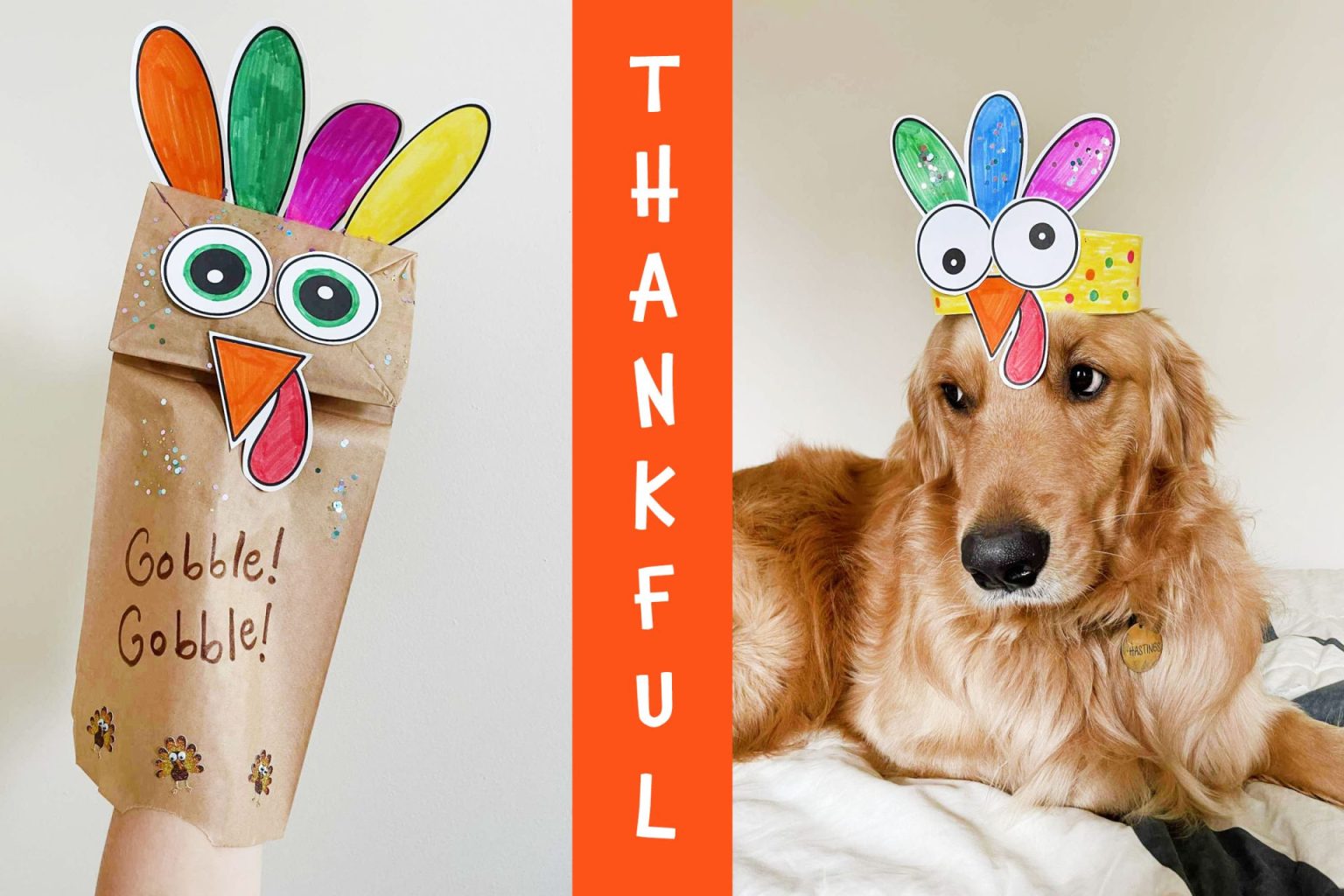 Make Your Own Turkey Craft for Preschool! ⋆ The Hollydog Blog